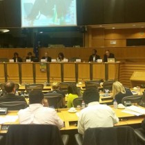 EU Parliament holds discussion on Ethiopian human rights in Ogaden and ...